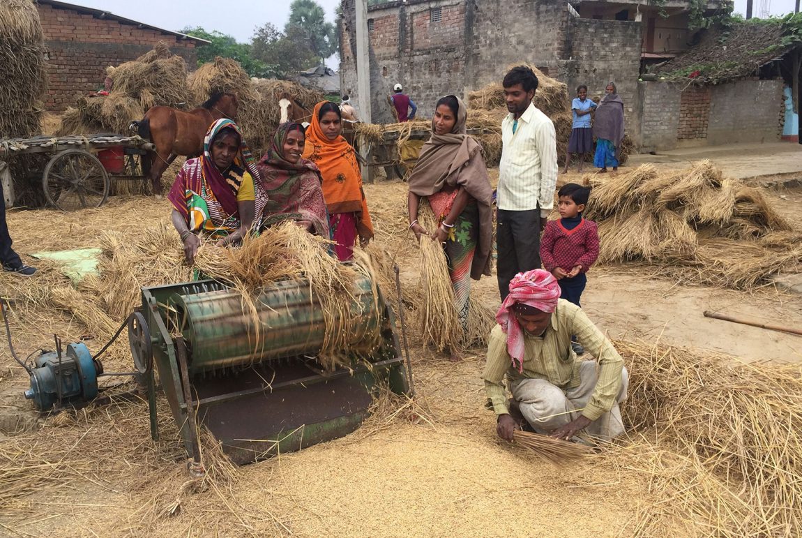 Threshing – ADM Institute for the Prevention of Postharvest Loss