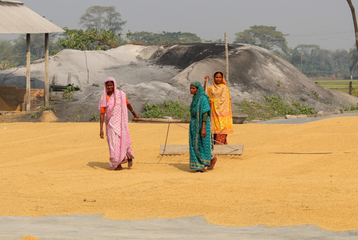 Resources – ADM Institute for the Prevention of Postharvest Loss