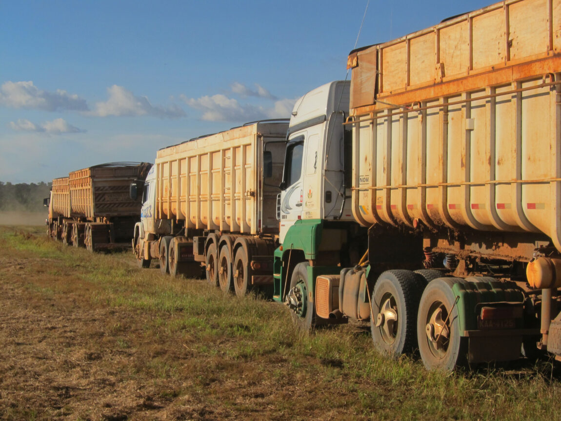 Resources – ADM Institute for the Prevention of Postharvest Loss