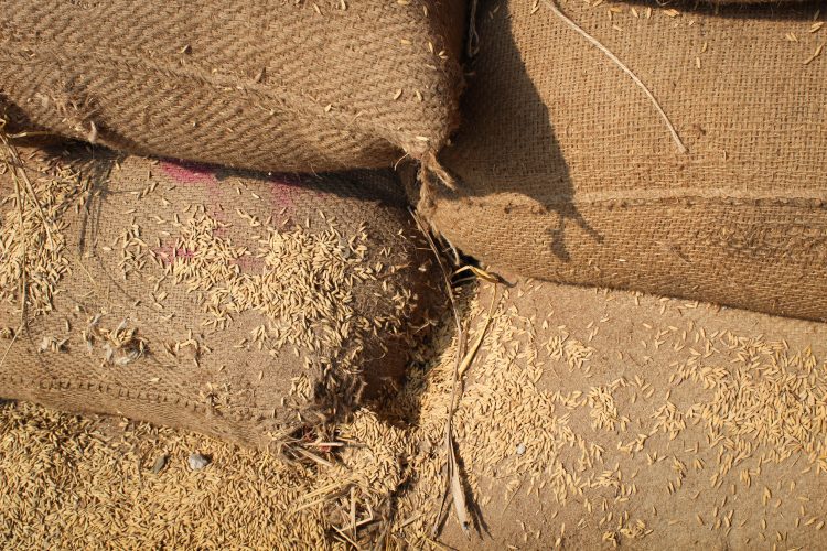 ADM Cares supports 5 projects through ADMI for 2020-21 – ADM Institute ...