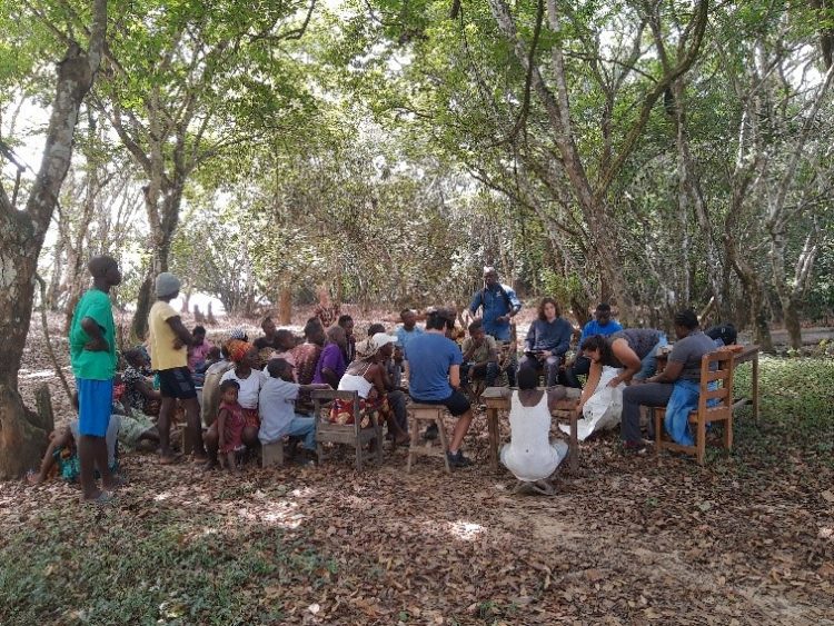 Experimental Training Hub helps Njala University fight postharvest loss ...